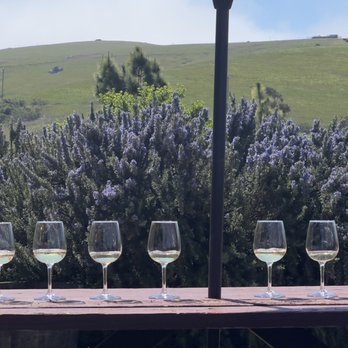 HARMONY CELLARS - Updated January 2025 - 292 Photos & 183 Reviews ...