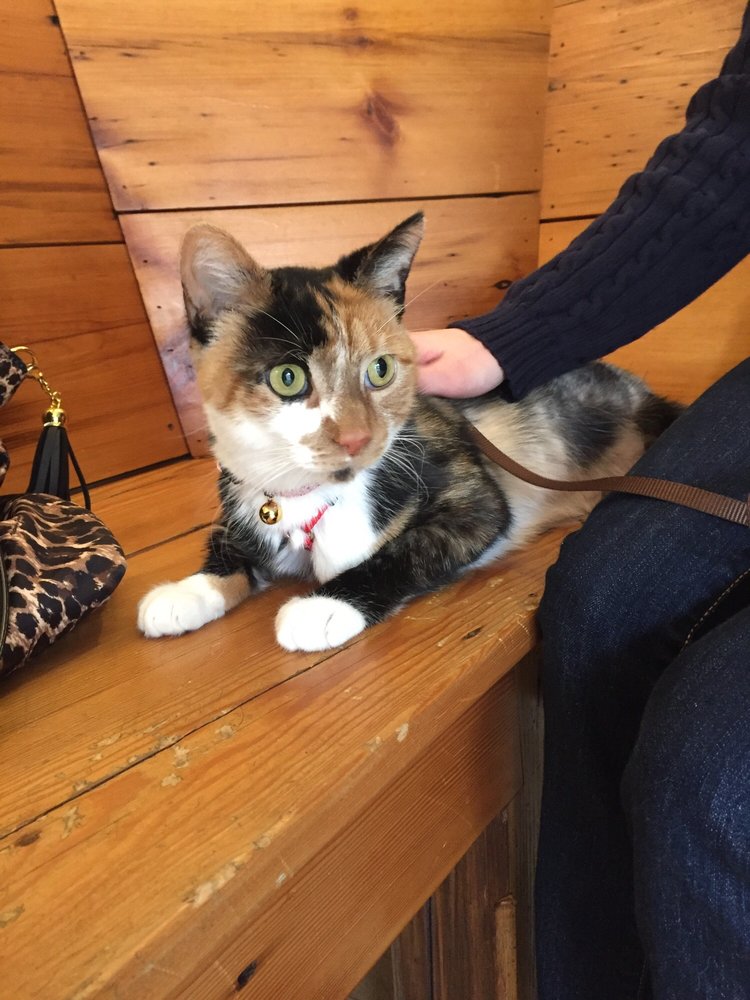 WARREN ANIMAL HOSPITAL - 10 Reviews - 793 Uniontown Rd, Phillipsburg ...