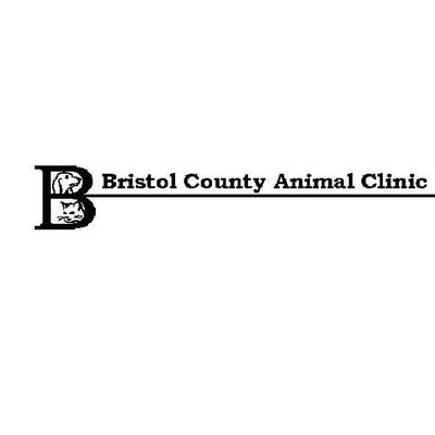 BRISTOL COUNTY ANIMAL CLINIC - Updated May 2026 - 26 Reviews - 840 ...