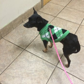 GREATER BIRMINGHAM HUMANE SOCIETY - Updated October 2025 - 50 Photos ...