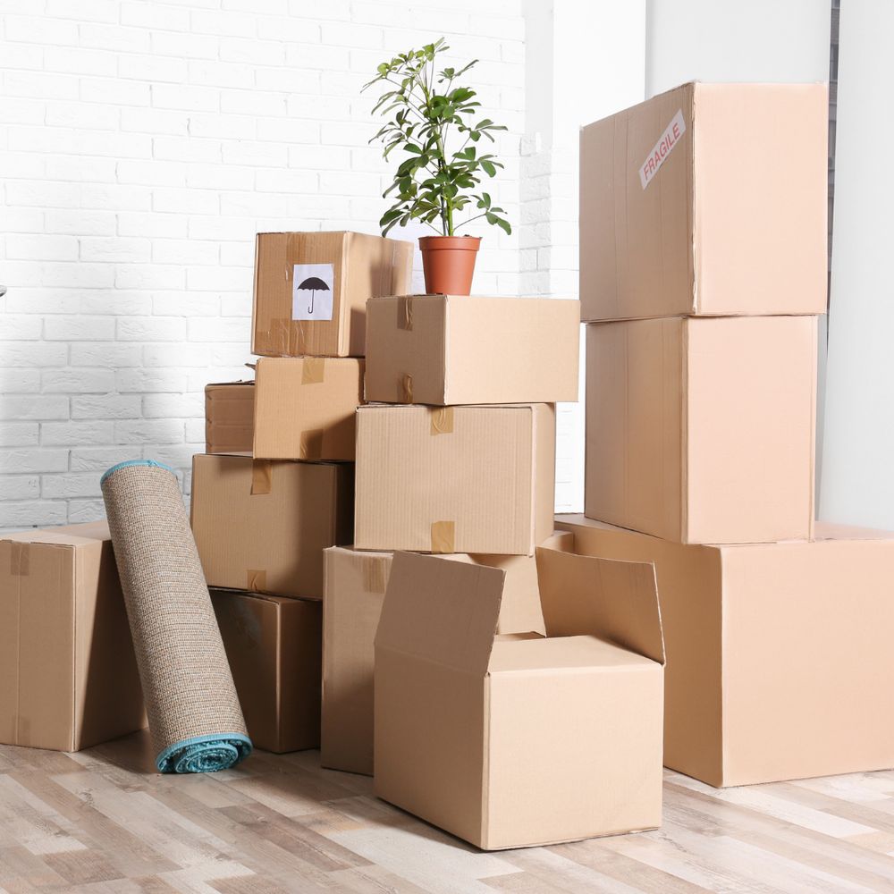 AVALANCHE PACKING - Updated October 2025 - 11 Photos & 10 Reviews ...