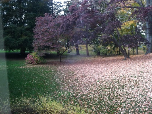 NEVINS MEMORIAL LIBRARY - Updated December 2025 - 22 Photos & 10 ...