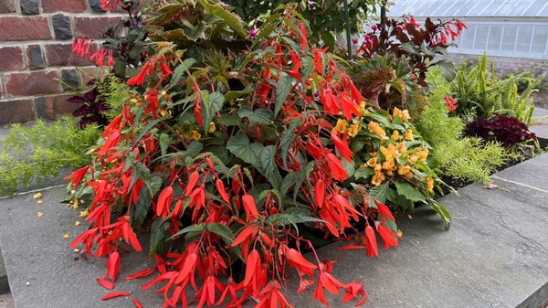 BAILEY ARBORETUM - Updated October 2025 - 147 Photos & 21 Reviews - 194 ...