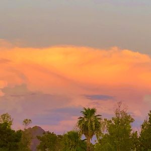 ENCANTO 18 HOLE GOLF COURSE - Updated June 2025 - 35 Photos & 38 ...