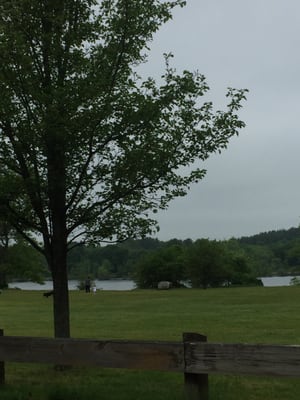 BUCKMASTER POND - Updated December 2025 - 12 Photos - 350 Pond St ...