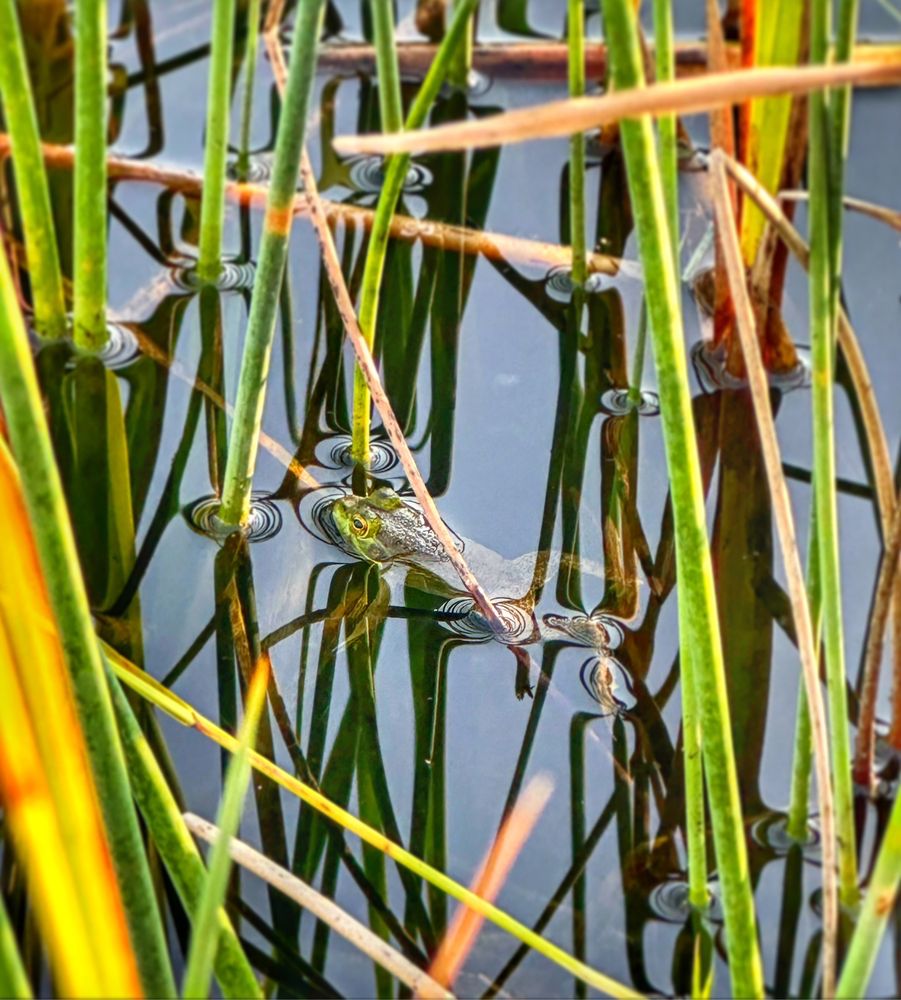 STILLWATER FARM - Updated October 2025 - 50 Photos - 5660 Rice Rd ...