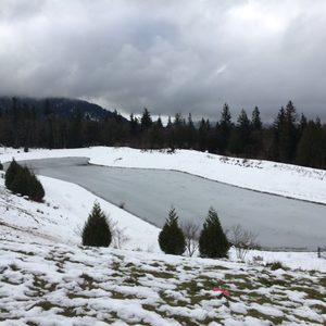 SI VIEW METRO PARKS - Parks - 400 SE Orchard Dr, North Bend, WA - Phone ...