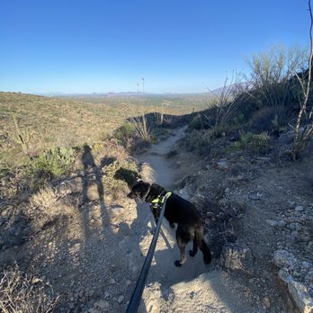 DOUGLAS SPRINGS TRAILHEAD - SAGUARO NATIONAL PARK - Updated October ...