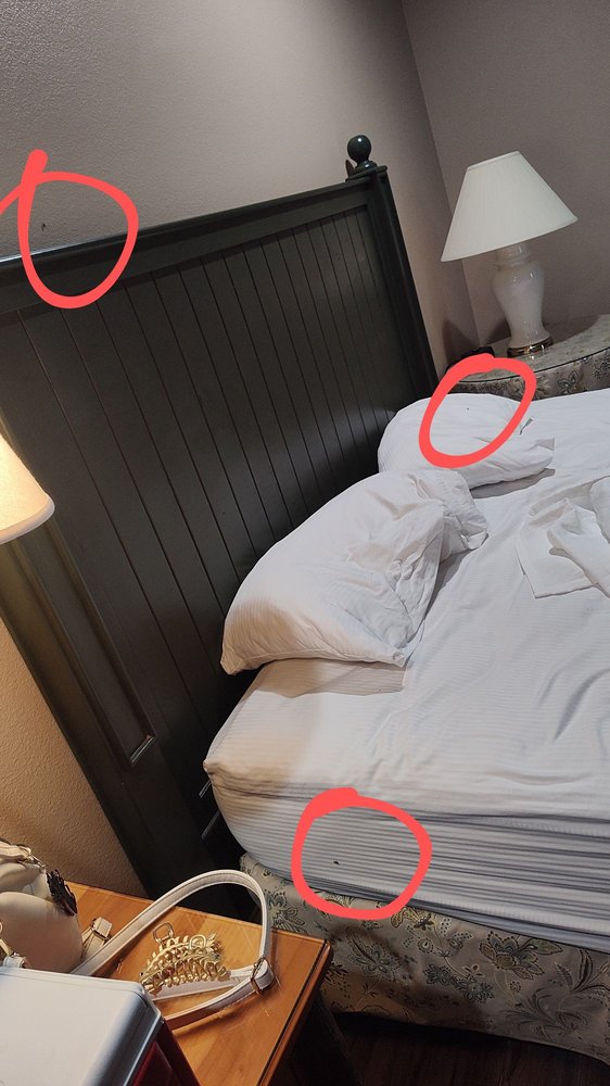 HARRIS RANCH - Updated June 2025 - 344 Photos & 160 Reviews - 24505 W ...