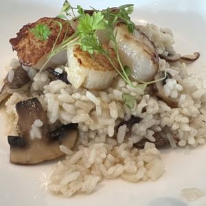 OLIO RESTAURANT & BAR - 126 Photos & 237 Reviews - 33 Kings Hwy, Groton ...