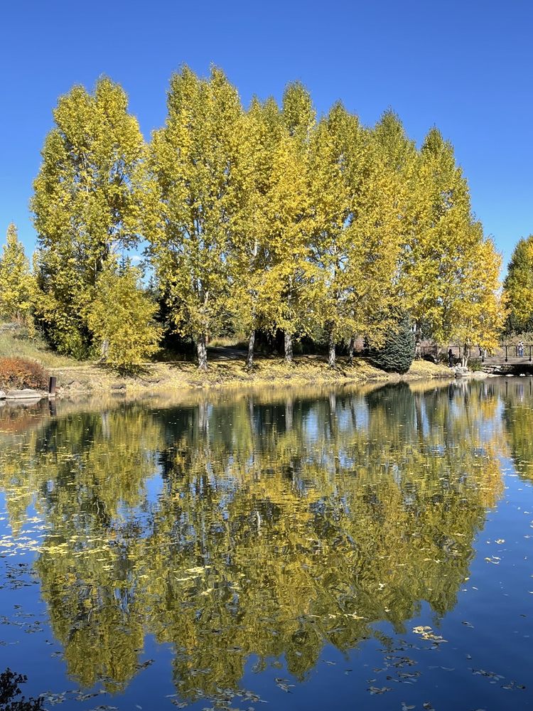 Riverwalk Center At Breckenridge, Breckenridge | Roadtrippers