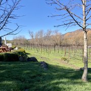 DEERFIELD RANCH WINERY - 206 Photos & 172 Reviews - 10200 Sonoma Hwy ...