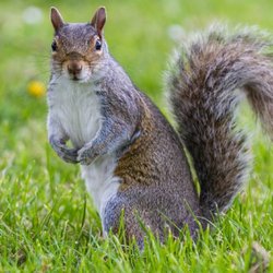 ISSAQUAH PEST CONTROL - 26 Photos & 277 Reviews - 1315 NW Mall St ...