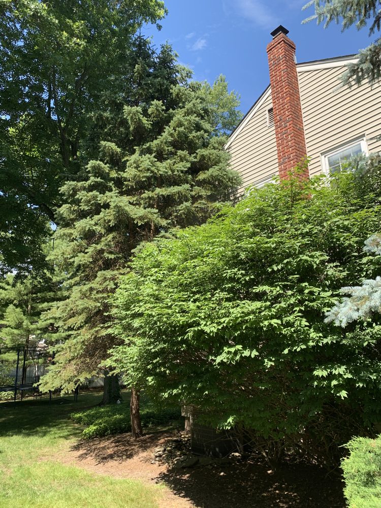 HONOR TREE & LAWN SERVICE - Updated August 2025 - 270 Kings Rd, Madison ...