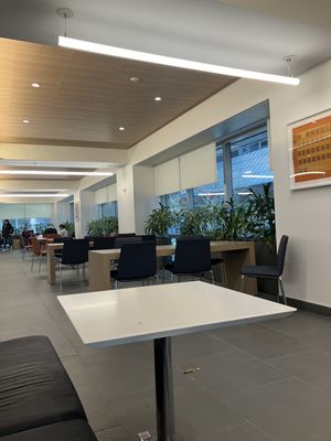 NYU LANGONE EYE CENTER - Updated December 2025 - 14 Photos & 24 Reviews ...