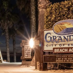 GRANDVIEW BEACH - 103 Photos & 39 Reviews - Beaches - 1700 Neptune Ave ...