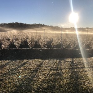 ANANDA FARM - Updated December 2025 - 89 Photos & 36 Reviews - 579 Ken ...