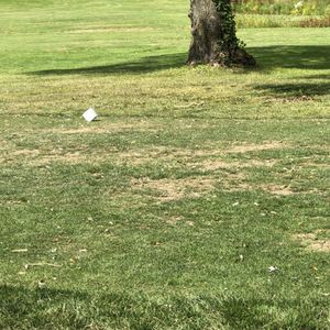 JUNIPER HILL GOLF COURSE - 40 Photos & 43 Reviews - 202 Brigham St ...