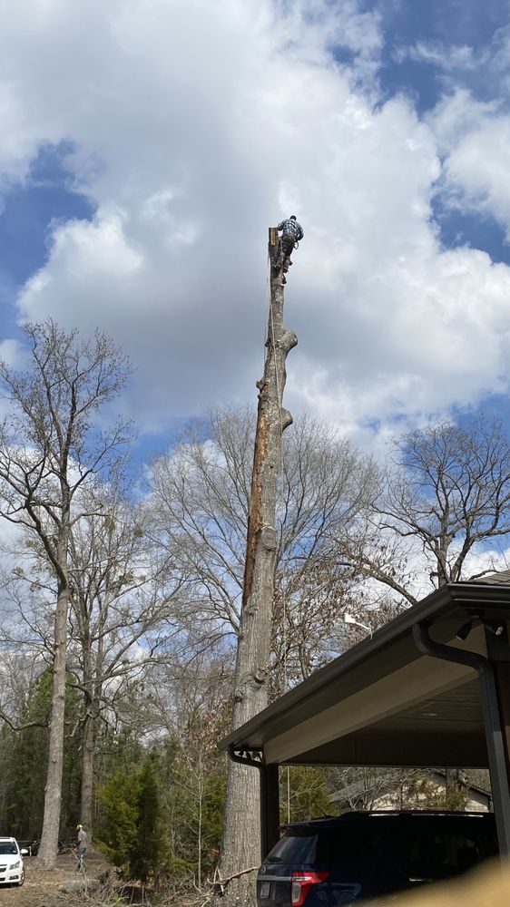 MARTINEZ TREE SERVICE - Updated December 2025 - Pittsburg, Texas - Tree ...