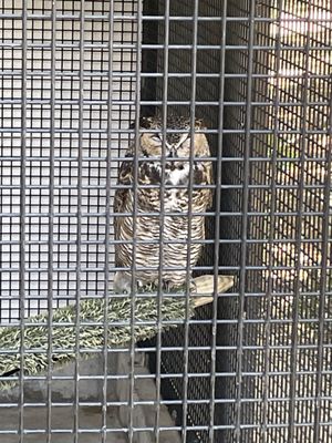 SAN DIMAS CANYON NATURE CENTER - Updated October 2025 - 64 Photos & 20 ...