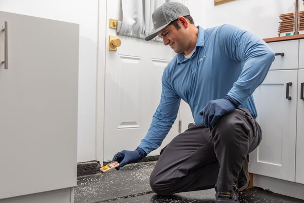 BROOKS PEST SOLUTIONS - Updated December 2025 - 89 Photos & 10 Reviews ...