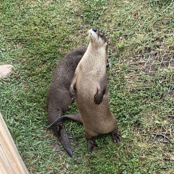 RED RIVER ZOO - Updated September 2025 - 183 Photos & 39 Reviews - 4255 ...