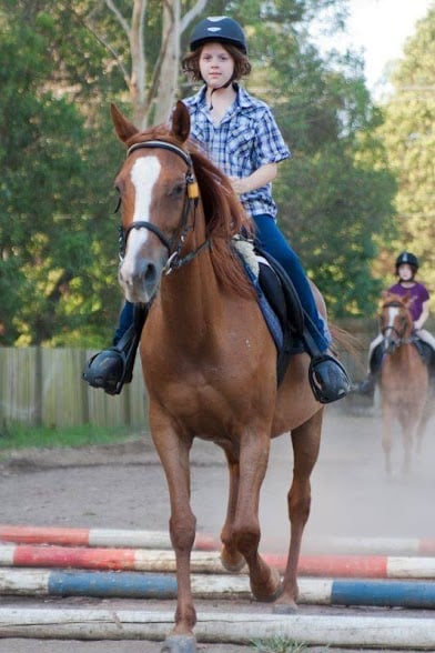 FOREST LAKE RIDING SCHOOL - Updated November 2024 - 19 Greentree Cres ...