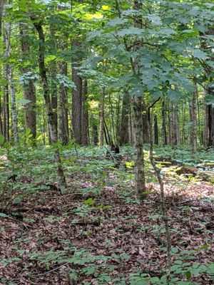 TOM DORMAN STATE NATURE PRESERVE - Updated December 2024 - 25 Photos ...