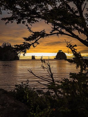 FIRST BEACH - Updated August 2025 - 77 Photos & 20 Reviews - La Push ...
