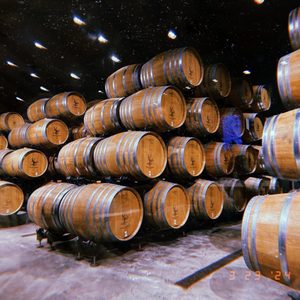 THE WINERY AT SUNSHINE RIDGE FARM - Updated September 2024 - 158 Photos ...