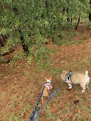 LAKE RIM PARK - Updated October 2024 - 17 Photos & 11 Reviews - 2214 ...