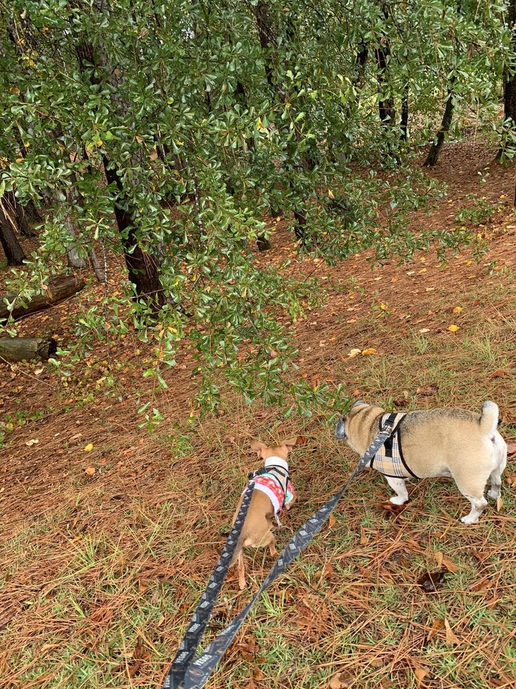 LAKE RIM PARK - Updated October 2024 - 17 Photos & 11 Reviews - 2214 ...