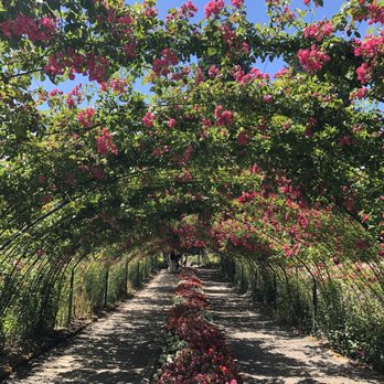 POINT DEFIANCE ROSE GARDEN - Updated December 2025 - 460 Photos & 30 ...