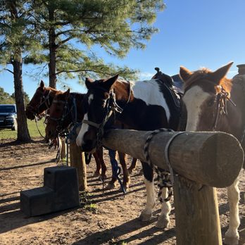 COWBOY COUNTRY LIFE - Updated November 2025 - 25 Photos - Waller, Texas ...