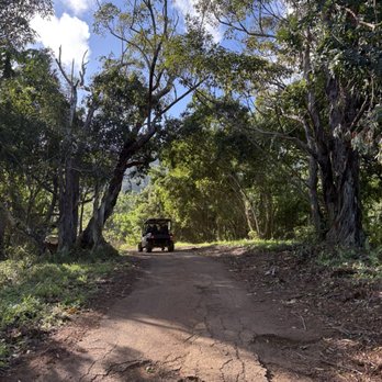 KIPU RANCH ADVENTURES - Updated February 2025 - 1774 Photos & 1564 ...