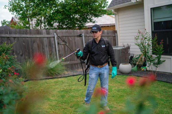 MAGNA PEST SOLUTIONS - Updated December 2025 - 25 Photos & 18 Reviews ...