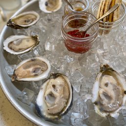 THE HUMMINGBIRD WAY - Updated December 2025 - 275 Photos & 106 Reviews ...