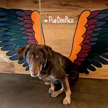 PUB DOG COLORADO - Updated June 2026 - 280 Photos & 265 Reviews - 2207 ...