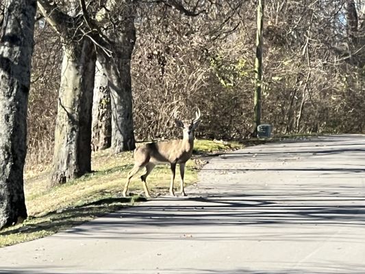 VINNYLINKS GOLF COURSE - Updated August 2025 - 98 Photos & 14 Reviews ...
