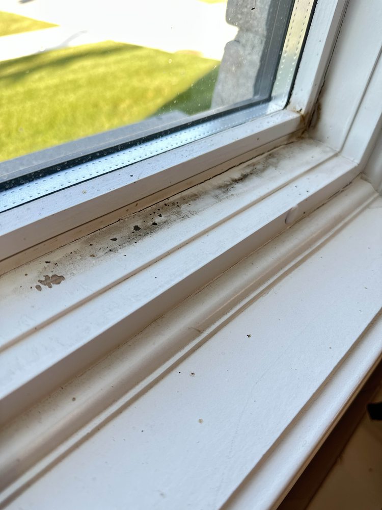 MLC WINDOWS & DOORS - Updated December 2024 - 35 Photos & 21 Reviews ...