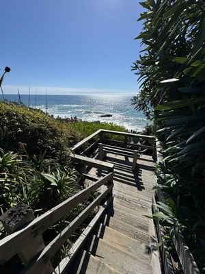 RUBY STREET PARK - Updated June 2025 - 33 Photos - 2107 Ocean Way ...