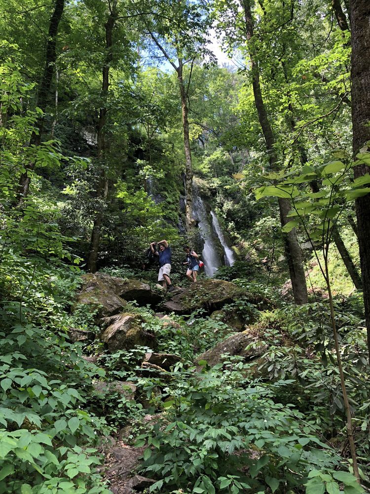 LEE FALLS TRAILHEAD - 60 Photos - Government Rd 715A, Tamassee, South ...