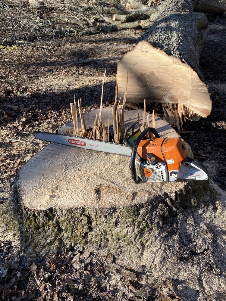 TIMBER PRO - Updated August 2025 - Request a Quote - 53 Photos ...