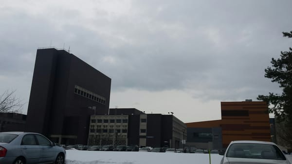 UB COMMONS - Updated August 2025 - 27 Photos - 520 Lee Entrance ...