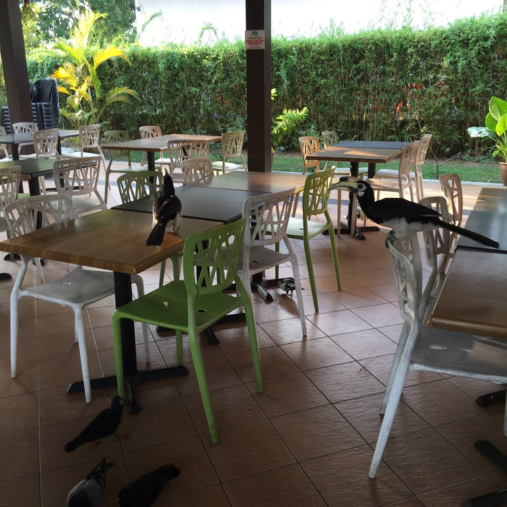 SANDY SPOON - Updated May 2025 - 30 Jalan Pasir Bogak, Pulau Pangkor ...