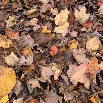 HARRIMAN STATE PARK - Updated September 2024 - 403 Photos & 97 Reviews ...