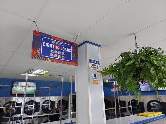 SPIN ZONE COIN LAUNDRY - Updated September 2024 - 73 Photos & 25 Reviews - 1364 E 7th St, Long ...