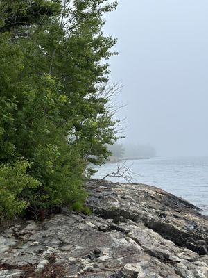 ACADIA SEASHORE CAMPING & CABINS - Updated May 2026 - 25 Photos - 2695 ...