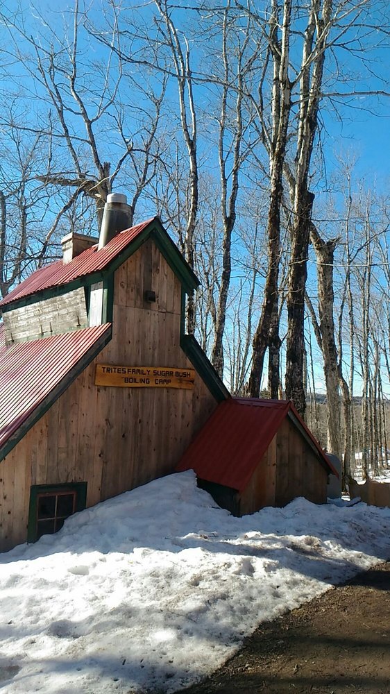 TRITES MAPLES - Updated March 2025 - 16 Photos - 1270 Gorge Road ...