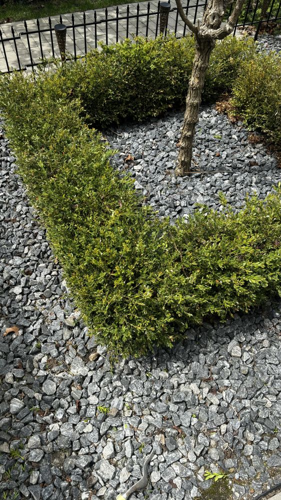 ALEX HANDYMAN - Updated February 2026 - Request a Quote - 29 Photos ...